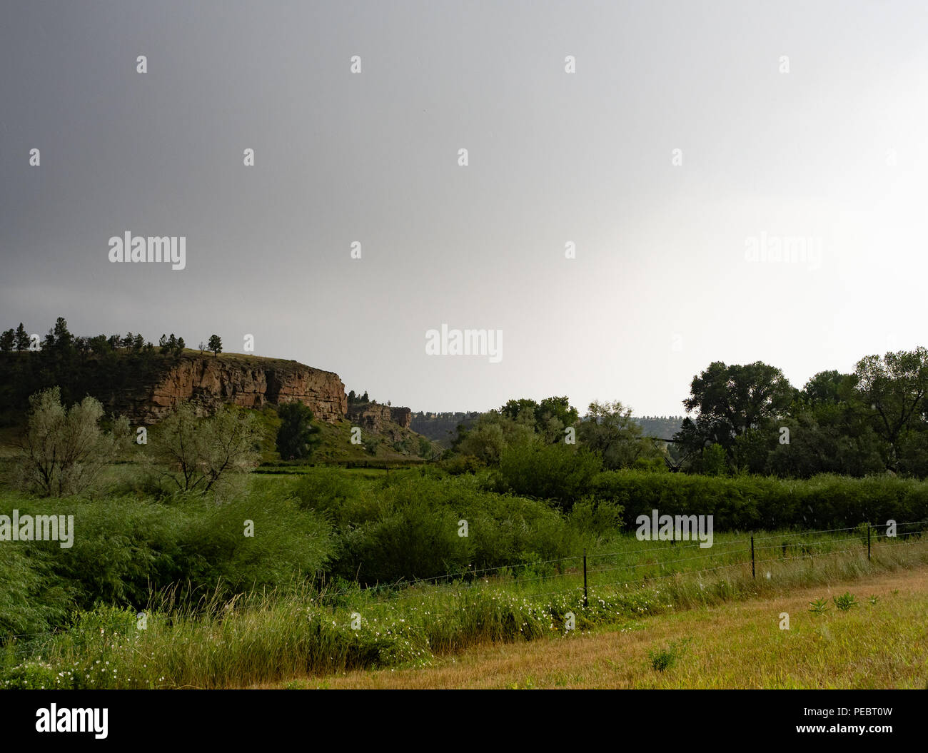 A rural scene with bushes, grass and deciduous trees in the foreground ...