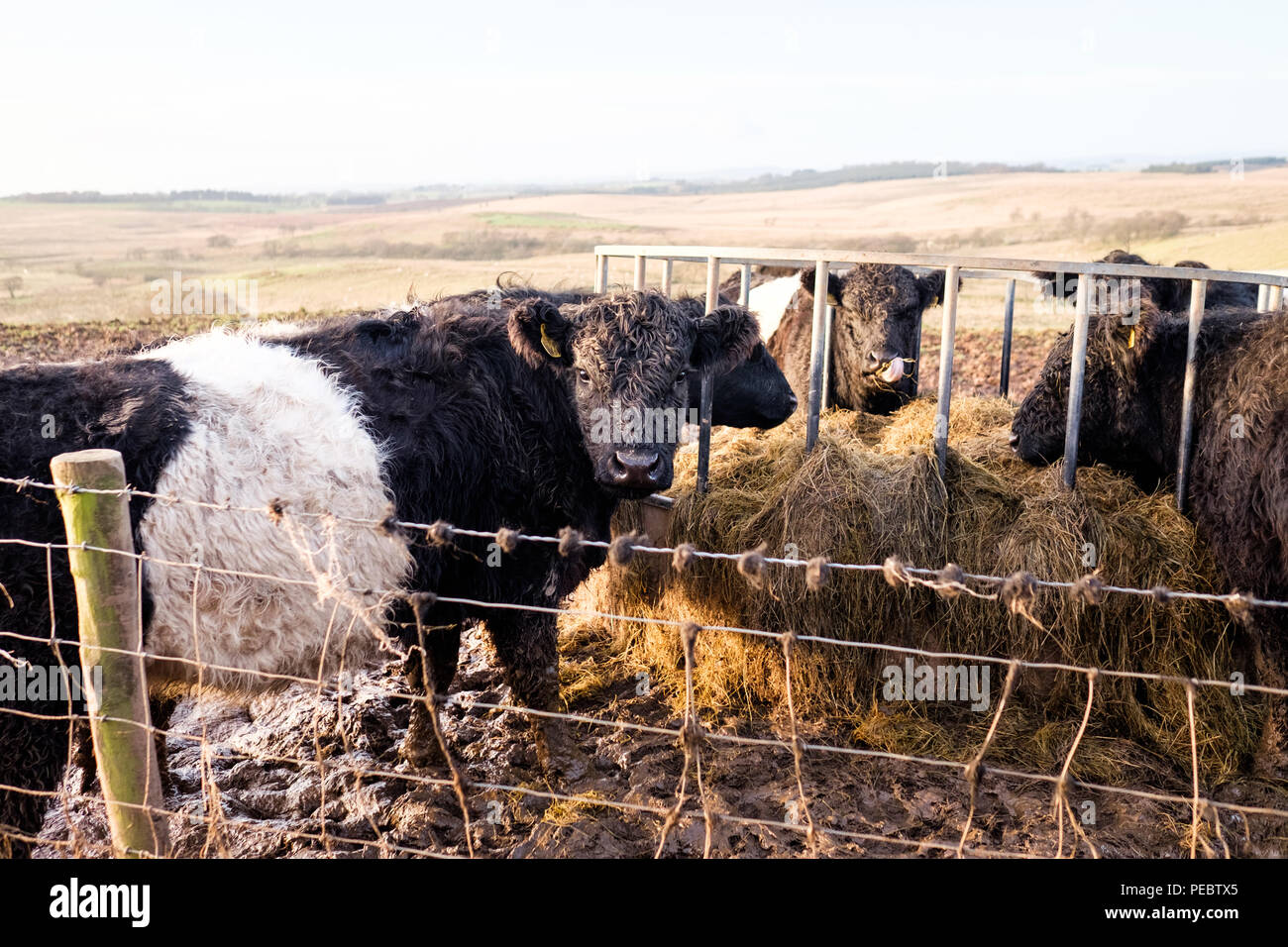 Askerton castle hi-res stock photography and images - Alamy