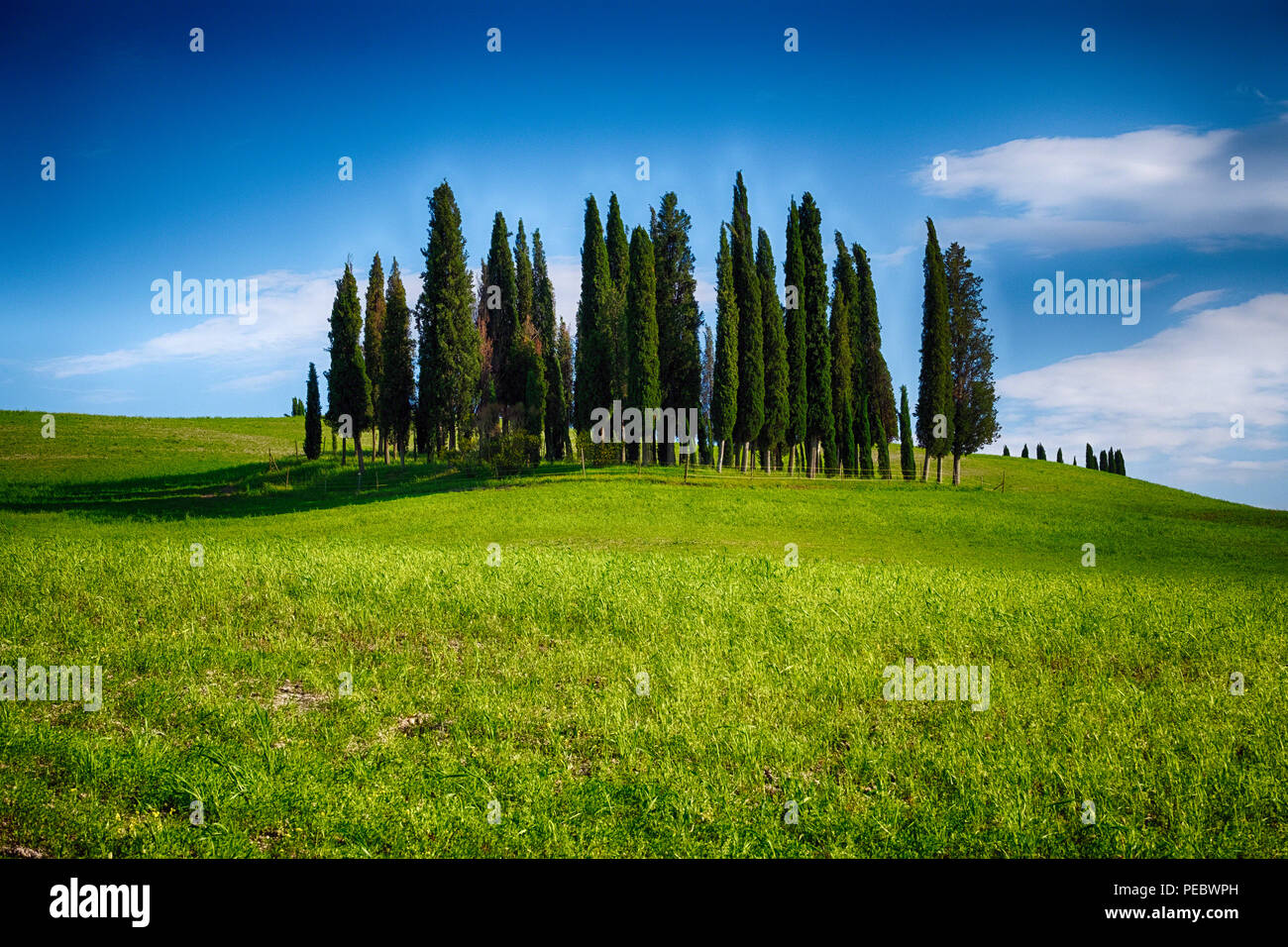 Tuscany cypress trees tree landscape hi-res stock photography and ...