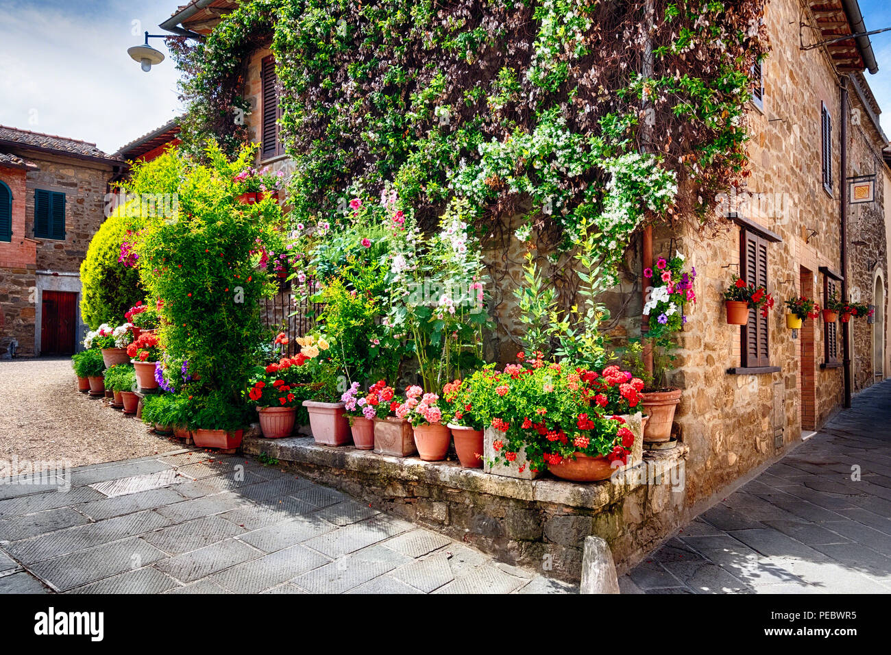 Italian Old Cottage And Flowers Italy, Basilicata, Matera. Flowers