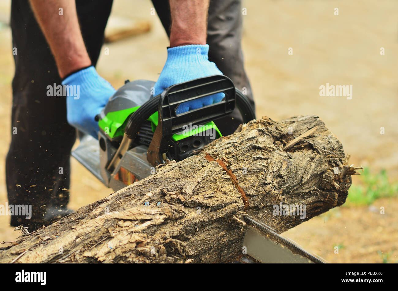 In the frame man spills a log chainsaw Stock Photo - Alamy