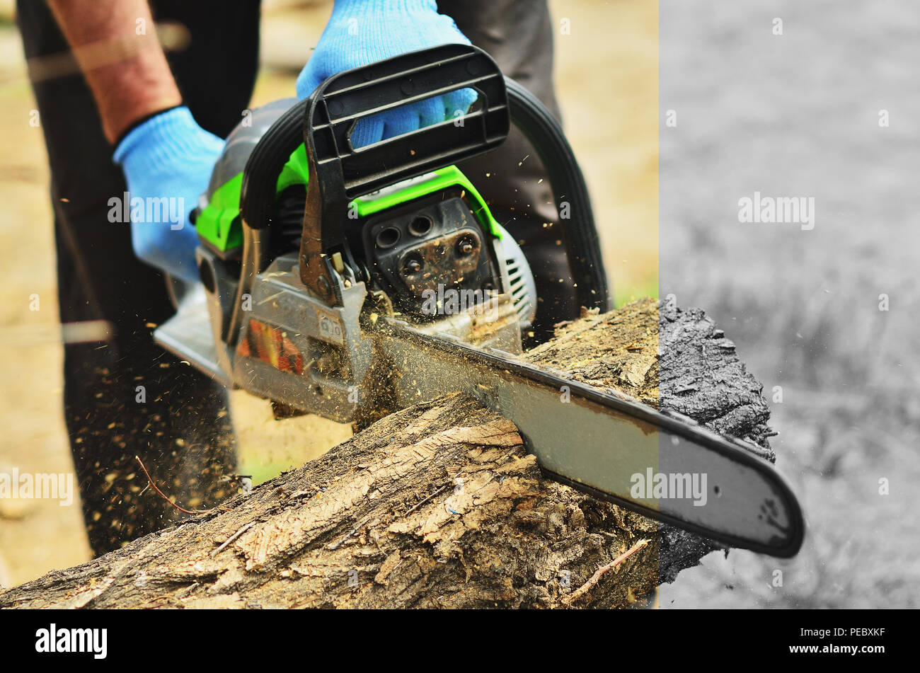 Chain saw black hi-res stock photography and images - Alamy