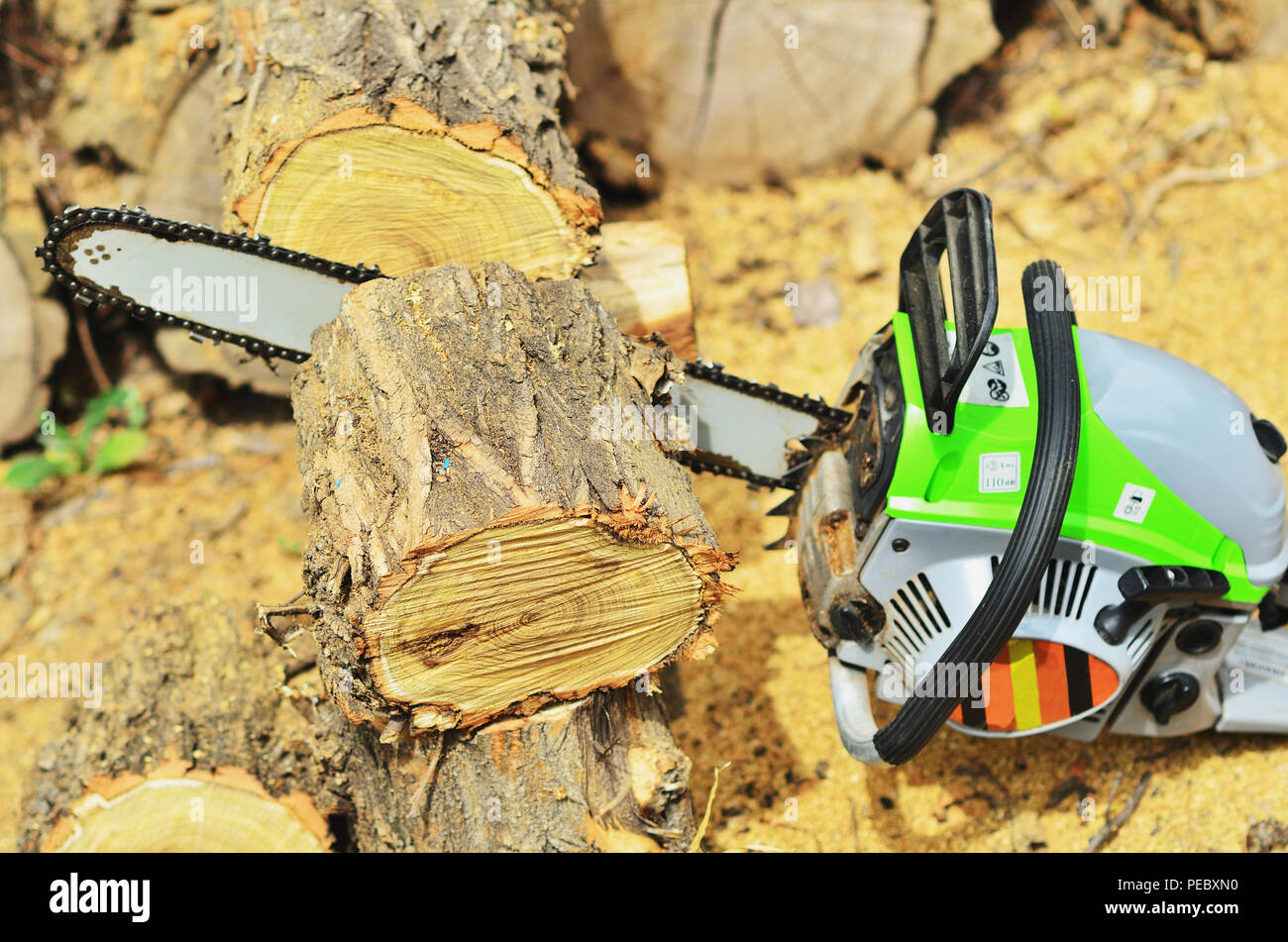 Two man chain saw hi-res stock photography and images - Alamy