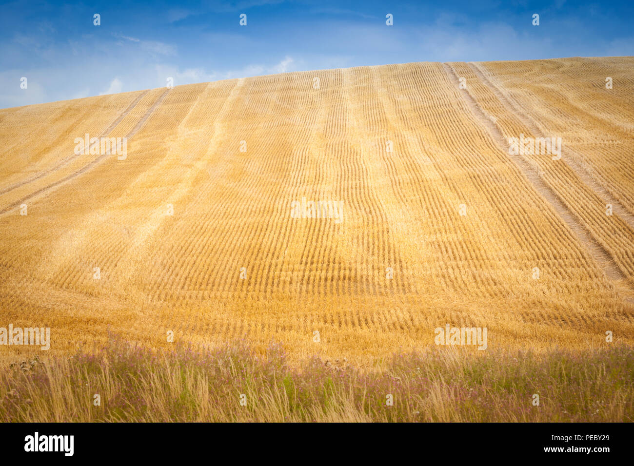 Farm field stubble hi-res stock photography and images - Alamy