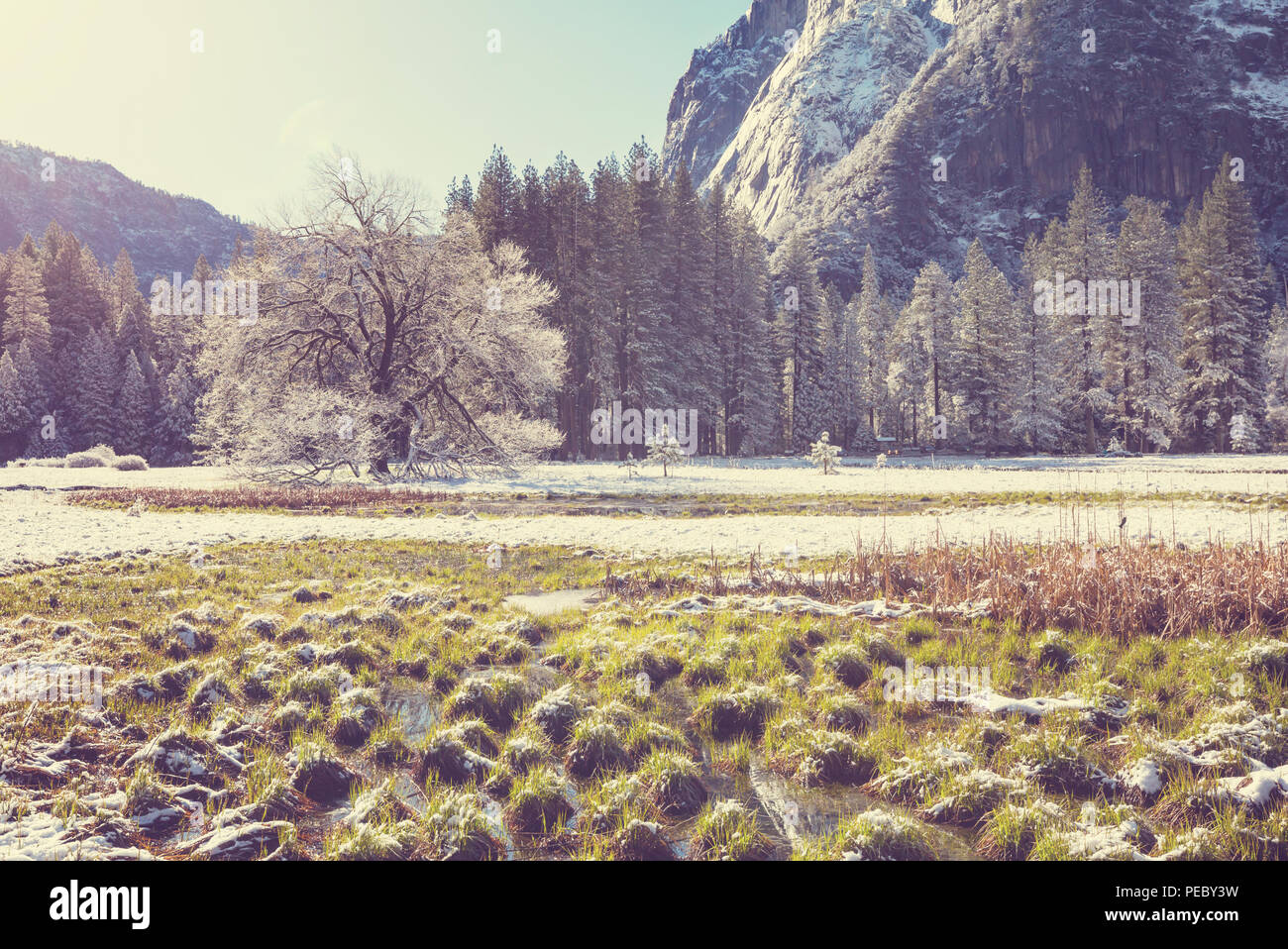 Beautiful early spring landscapes in Yosemite National Park, Yosemite ...