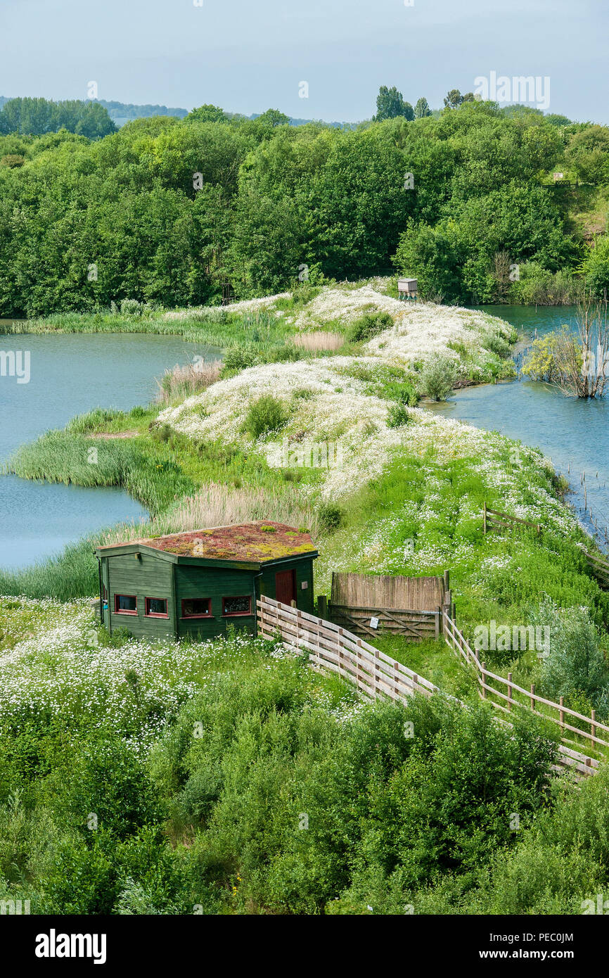 Tring nature reserve hi-res stock photography and images - Alamy