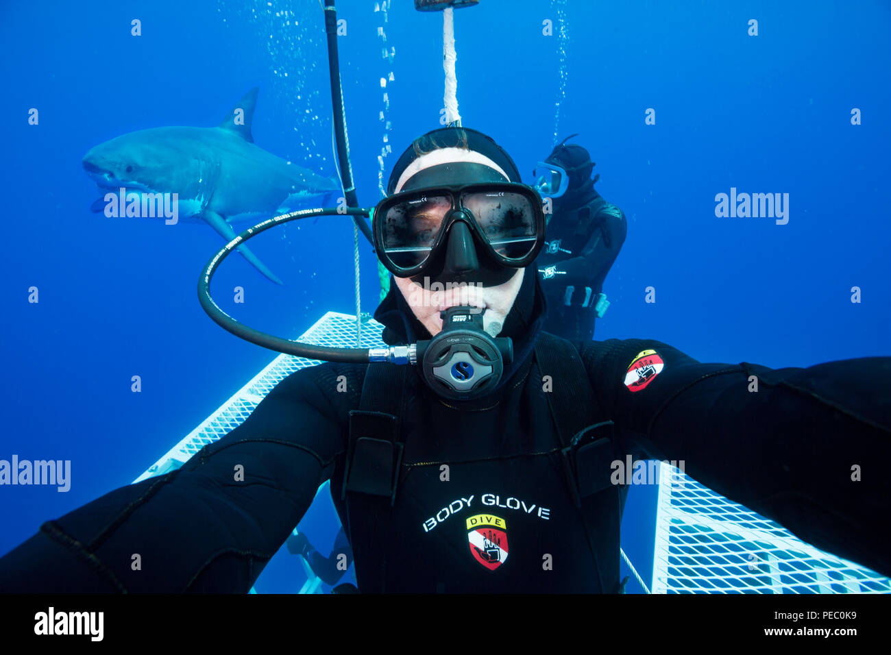 Photographer David Fleetham and a self portrait from above the cage ...