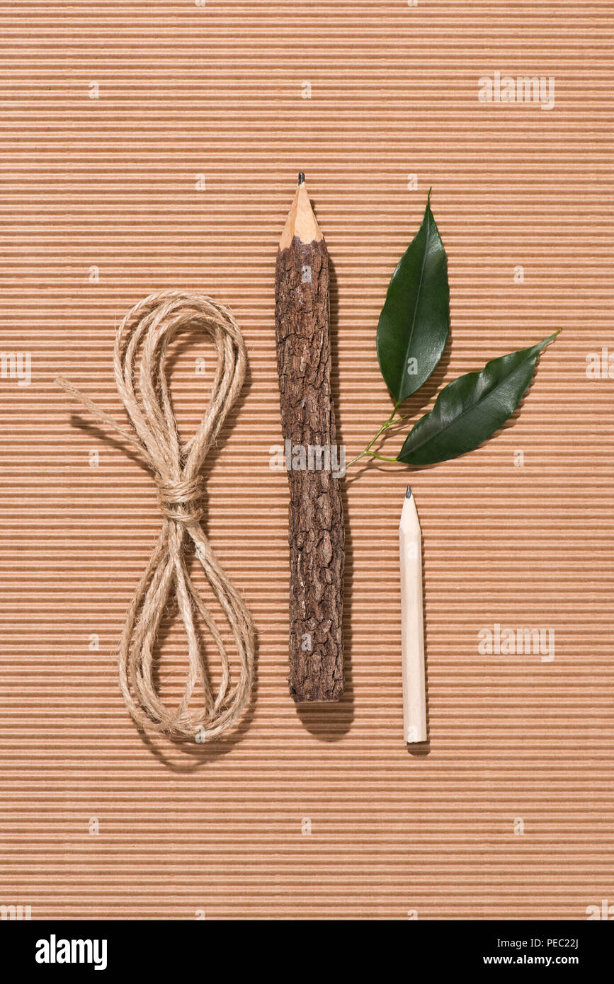 top view of string, wooden pencil, graphite pencil and green leaves on ...
