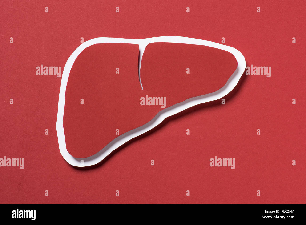 top view of liver on red background, healthcare concept Stock Photo - Alamy