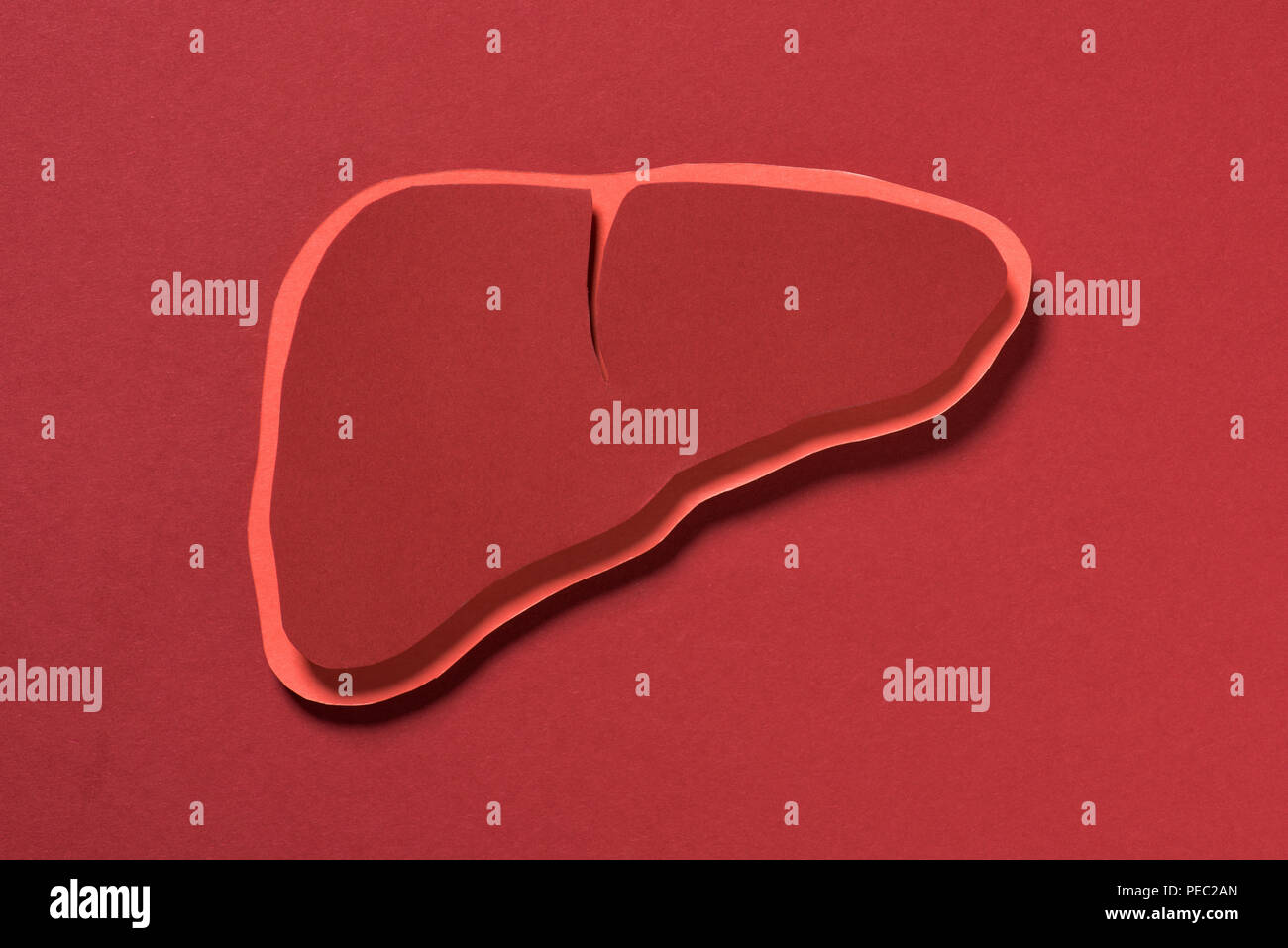 elevated view of liver on red background Stock Photo - Alamy
