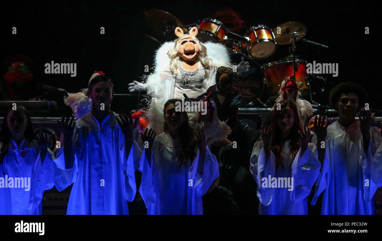 The Muppets take The O2 with a live show Featuring: Miss Piggy Where ...