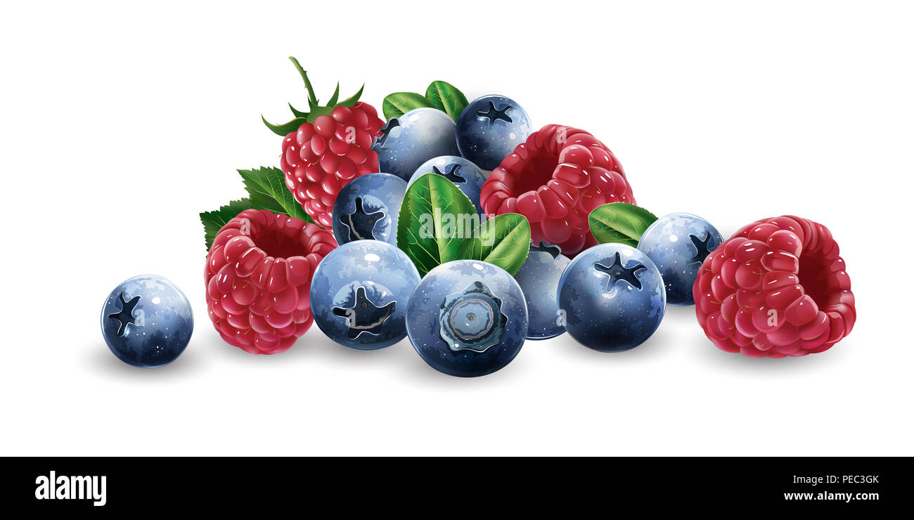 Fresh organic blueberries raspberries Cut Out Stock Images & Pictures ...