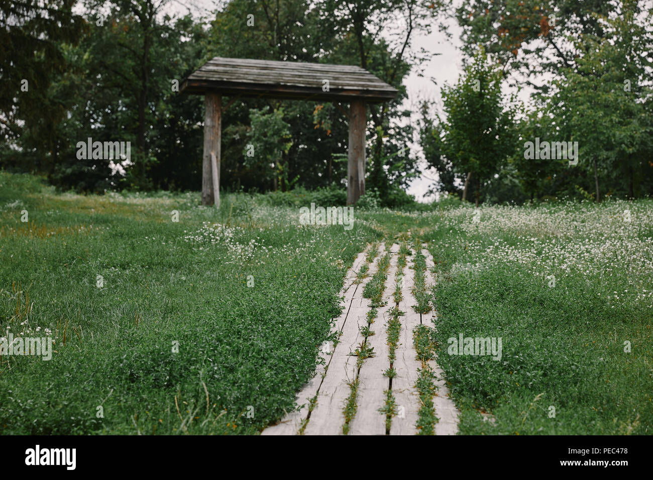 wooden path and green grass in garden Stock Photo - Alamy