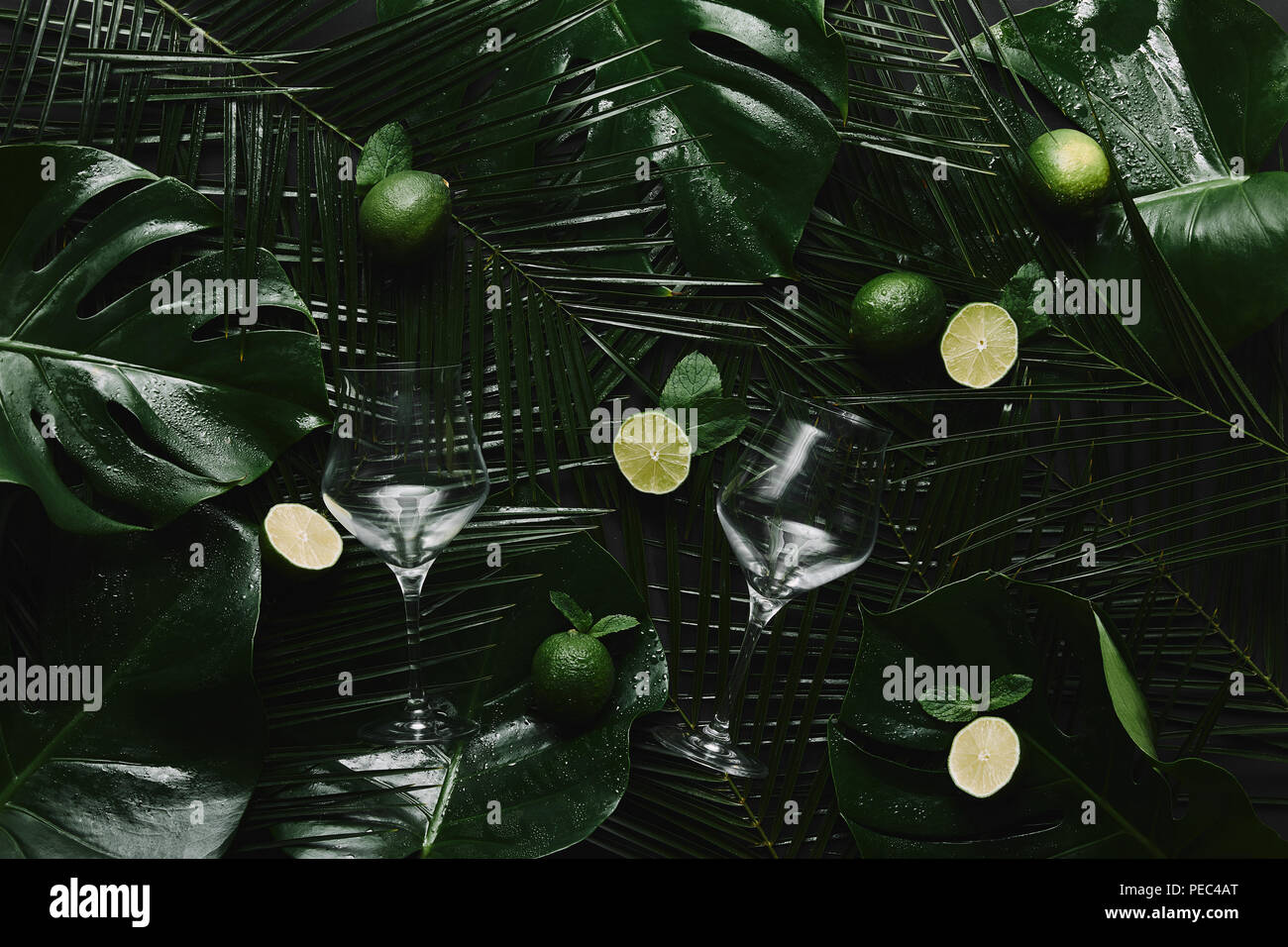 Vs Blank VBA Selects A Cell In Microsoft Excel - Tpoint Tech Value As ...