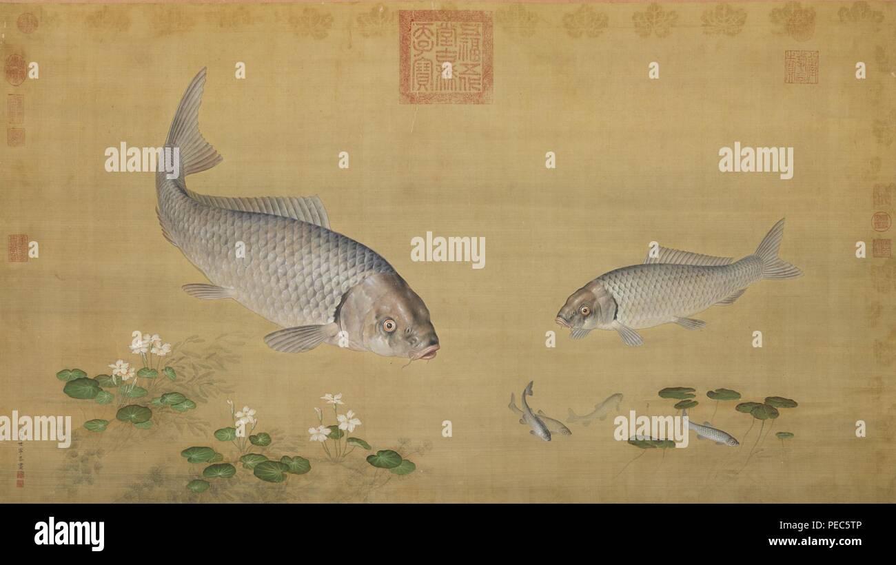 Aquatic Plants And Fish Pamphlet at Robert Fabry blog