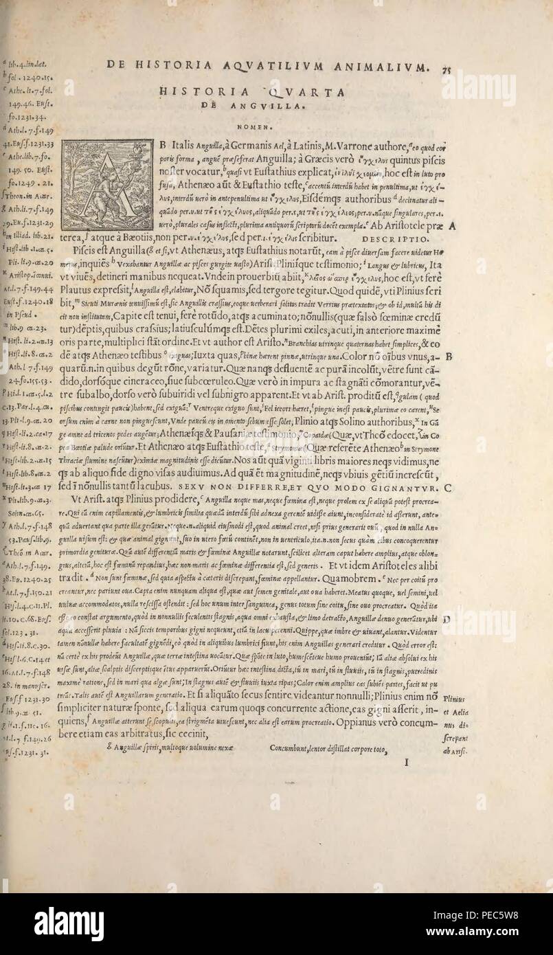 Aquatilium animalium historiae, liber primus (Page 65 Stock Photo - Alamy