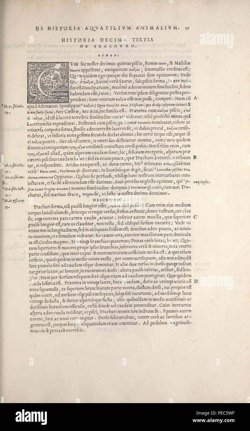 Aquatilium animalium historiae, liber primus (Page 79 Stock Photo - Alamy