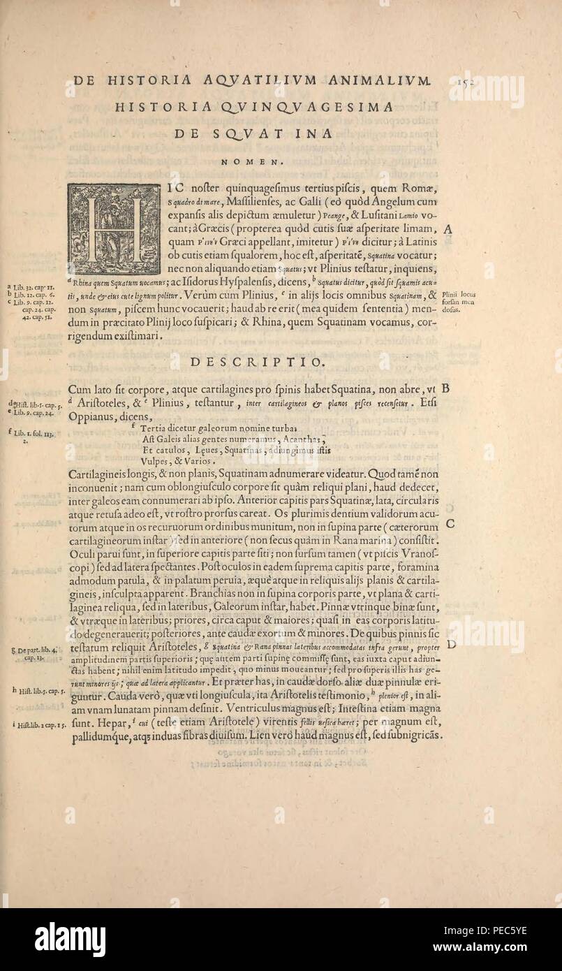 Aquatilium animalium historiae, liber primus (Page 152 Stock Photo - Alamy