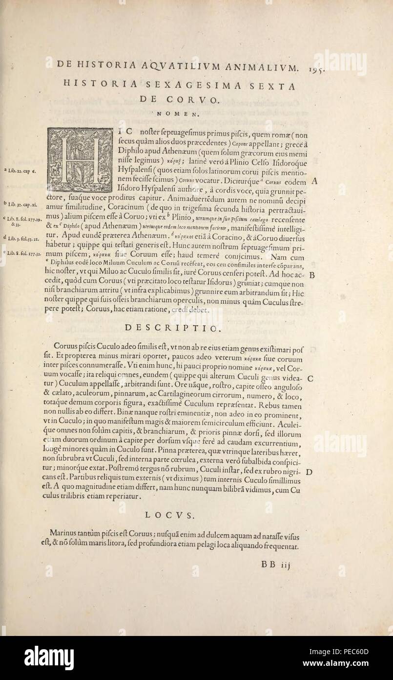 Aquatilium animalium historiae, liber primus (Page 195 Stock Photo - Alamy