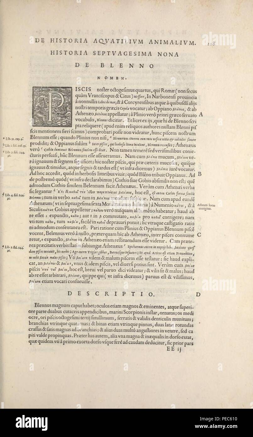 Aquatilium animalium historiae, liber primus (Page 218 Stock Photo - Alamy