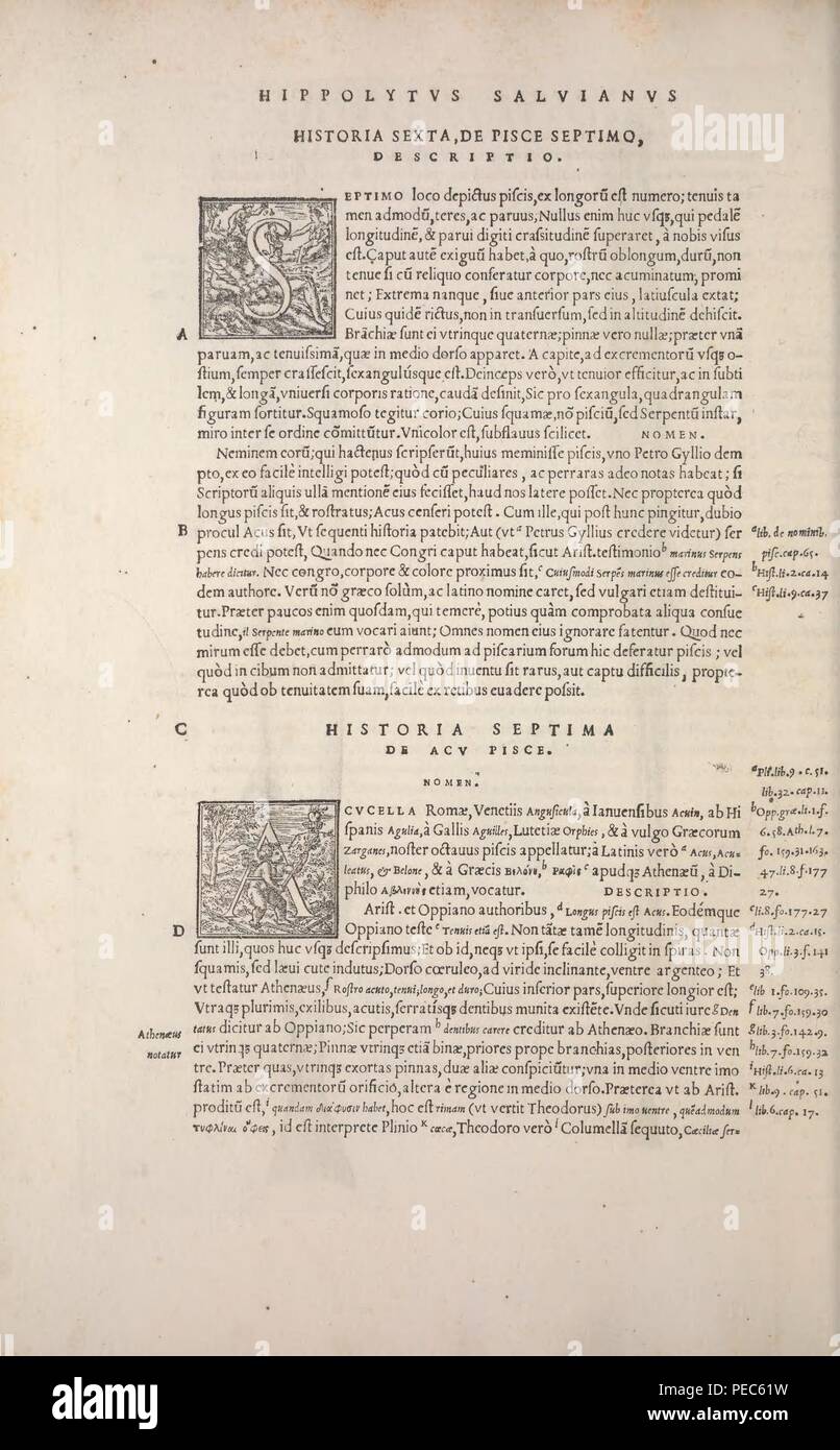 Aquatilium animalium historiae, liber primus Stock Photo - Alamy