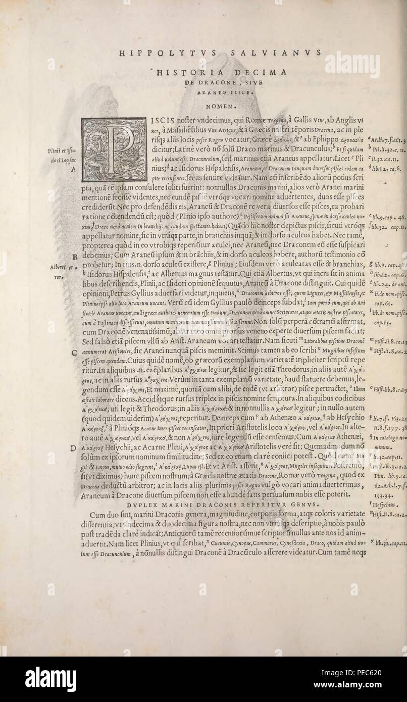 Aquatilium animalium historiae, liber primus Stock Photo - Alamy