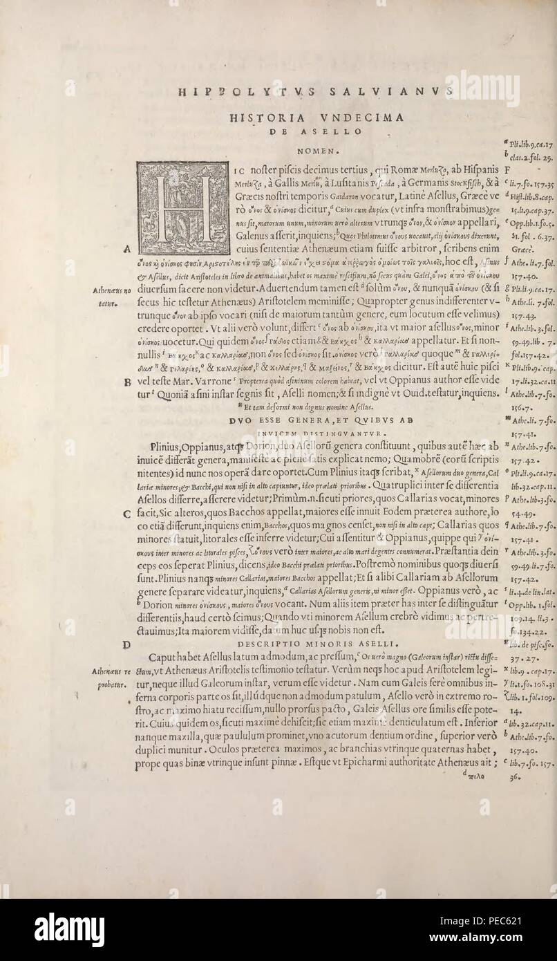 Aquatilium animalium historiae, liber primus Stock Photo - Alamy