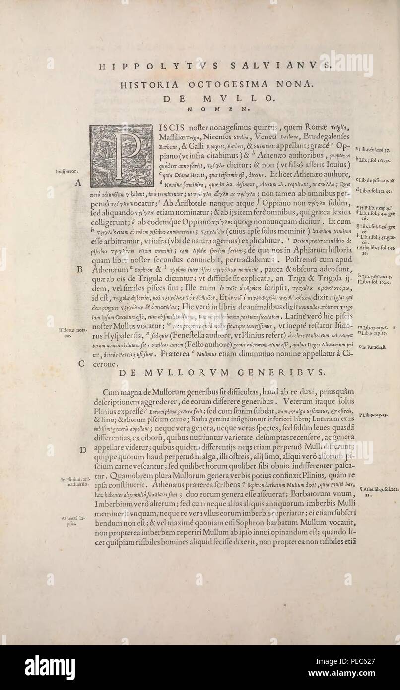 Liber primus hi-res stock photography and images - Alamy