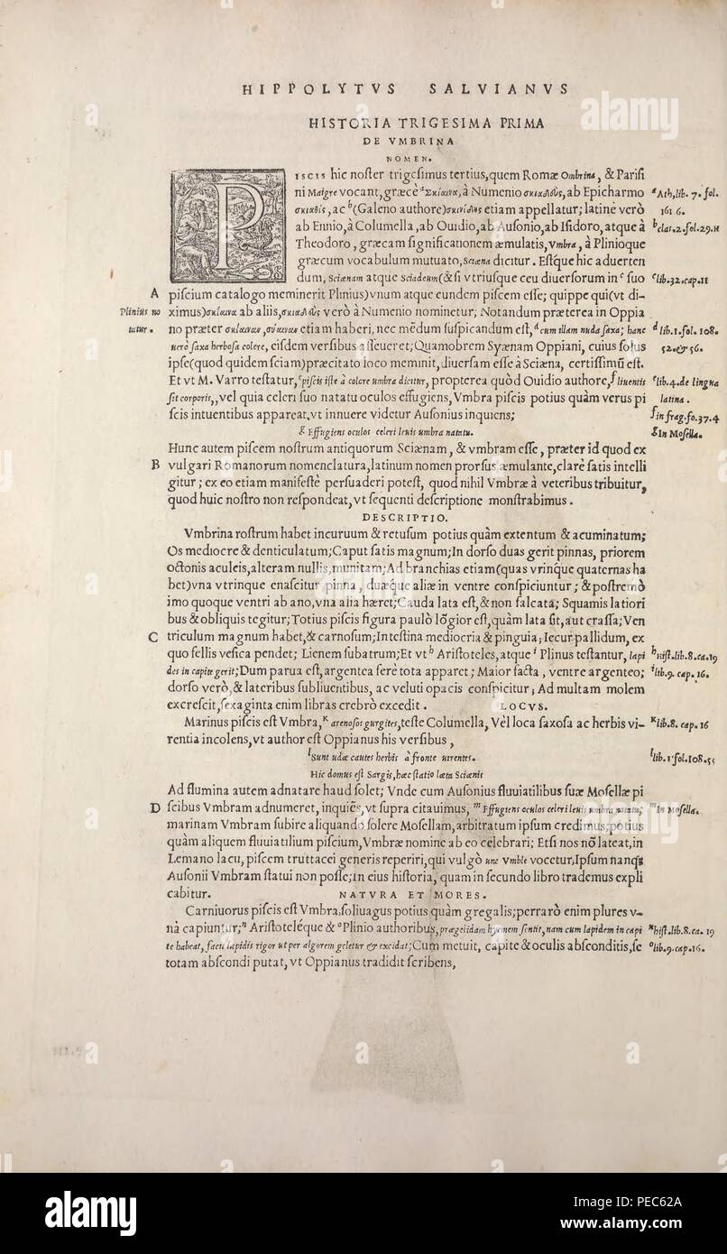 Aquatilium animalium historiae, liber primus Stock Photo - Alamy