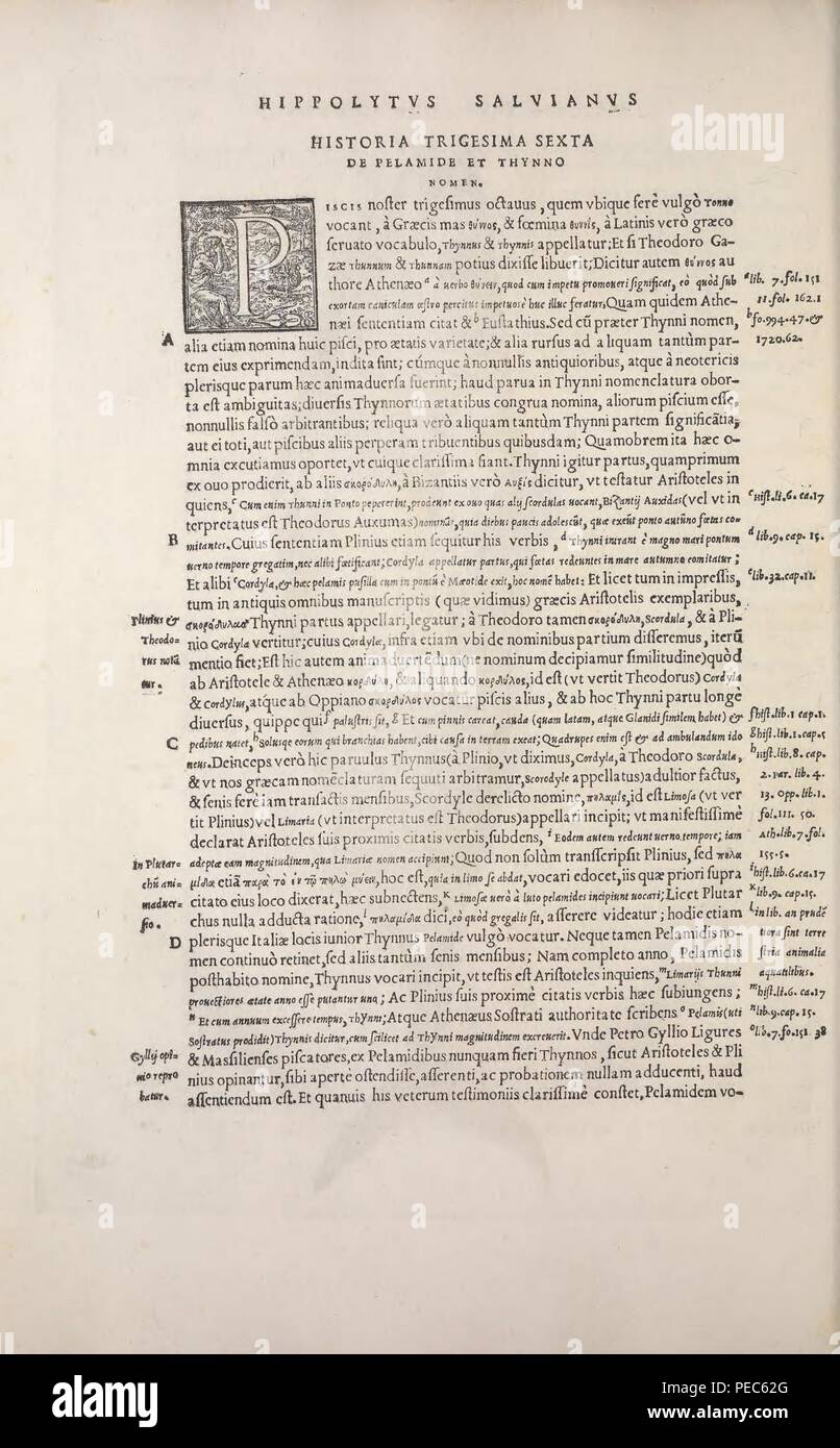 Aquatilium animalium historiae, liber primus Stock Photo - Alamy