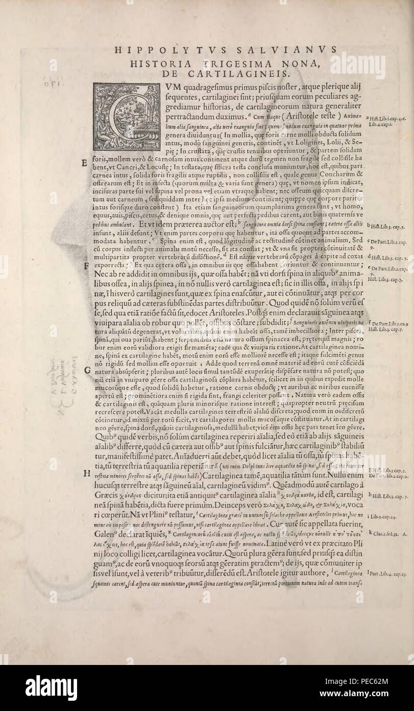 Aquatilium animalium historiae, liber primus Stock Photo - Alamy