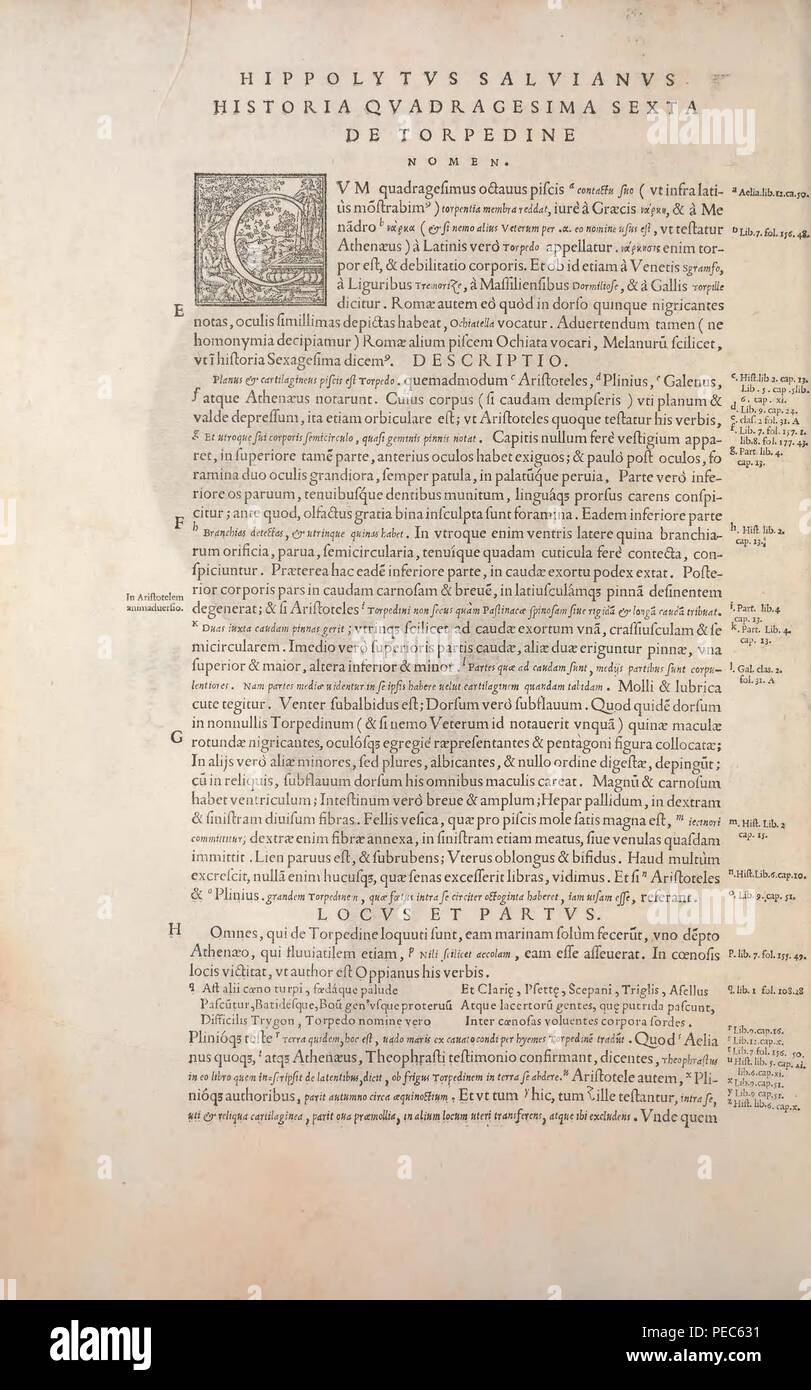 Aquatilium animalium historiae, liber primus Stock Photo - Alamy