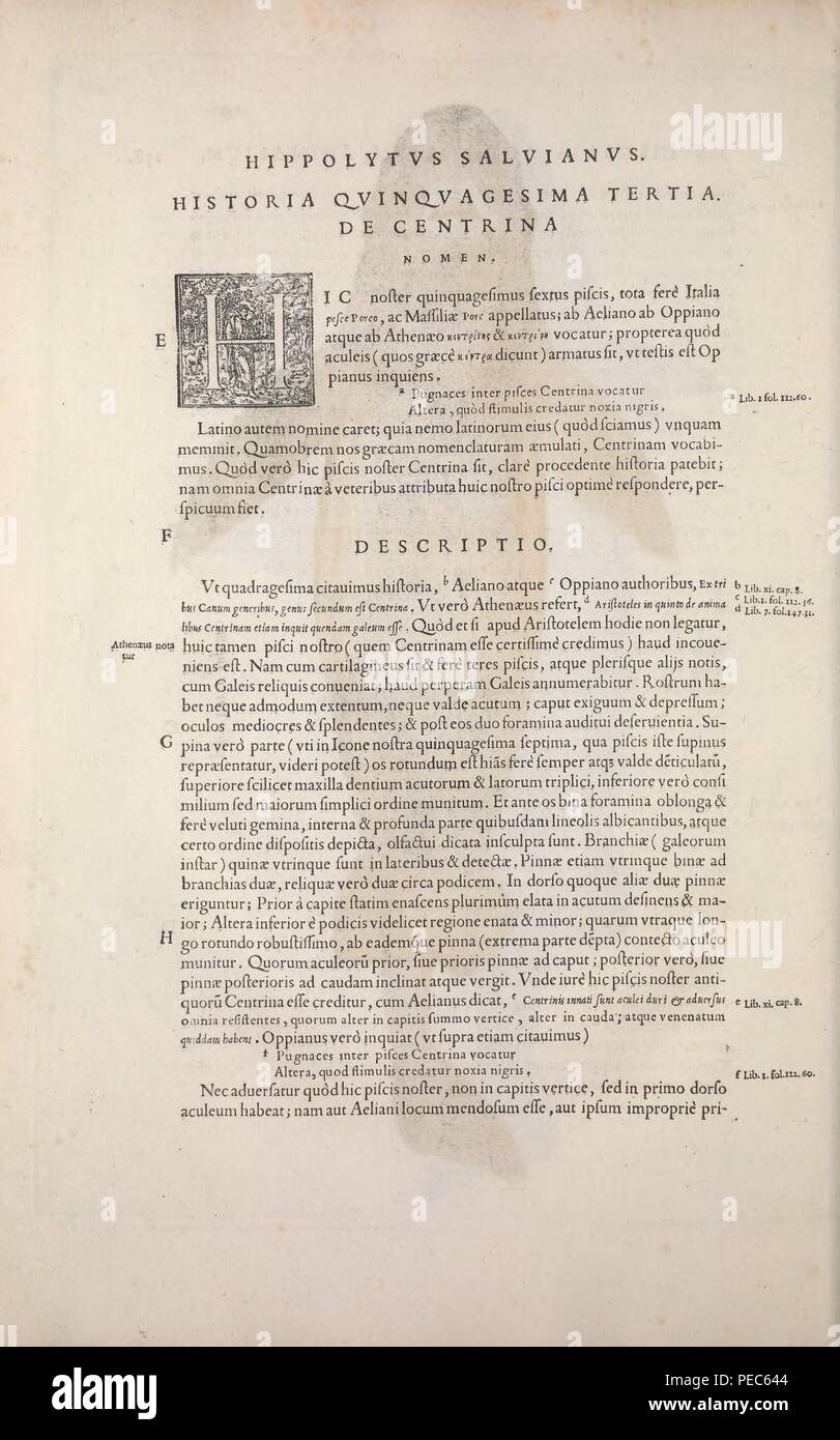 Aquatilium animalium historiae, liber primus Stock Photo - Alamy