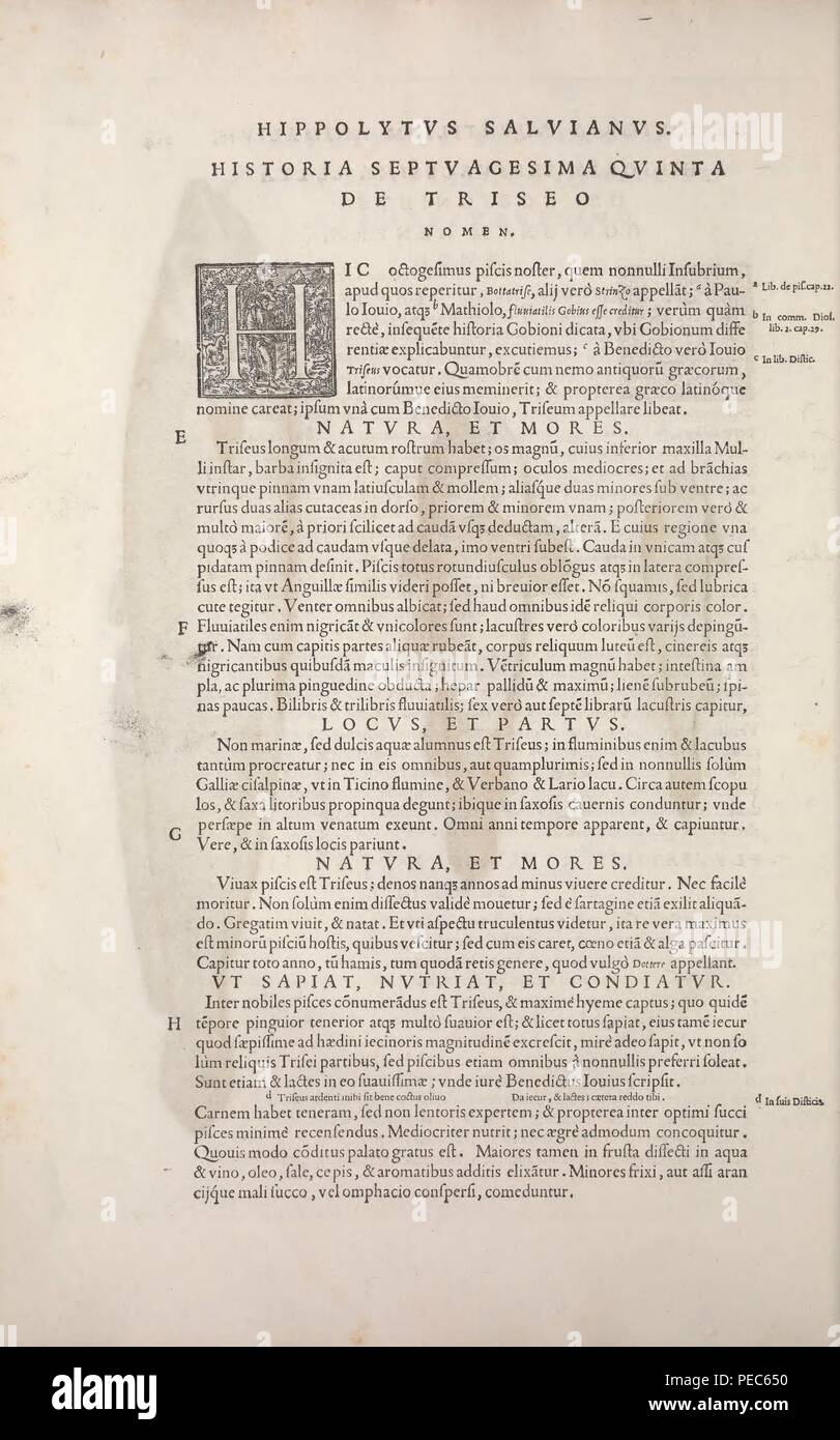 Aquatilium animalium historiae, liber primus Stock Photo - Alamy