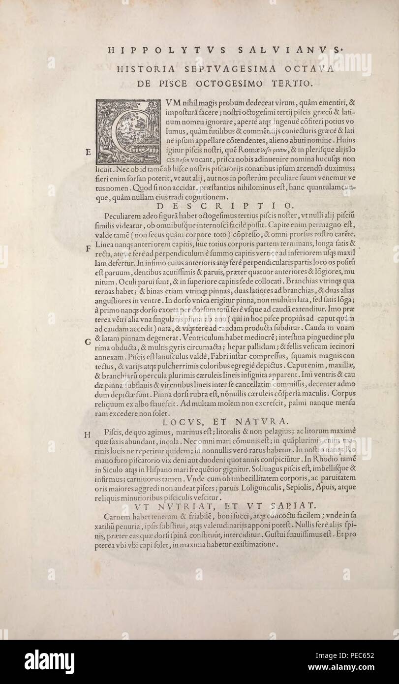 Aquatilium animalium historiae, liber primus Stock Photo - Alamy