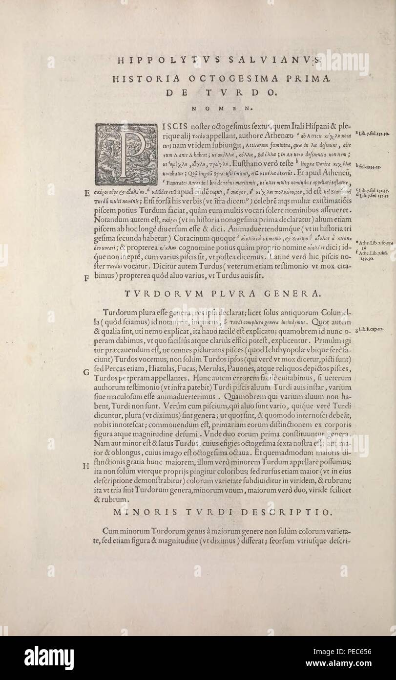 Aquatilium animalium historiae, liber primus Stock Photo - Alamy