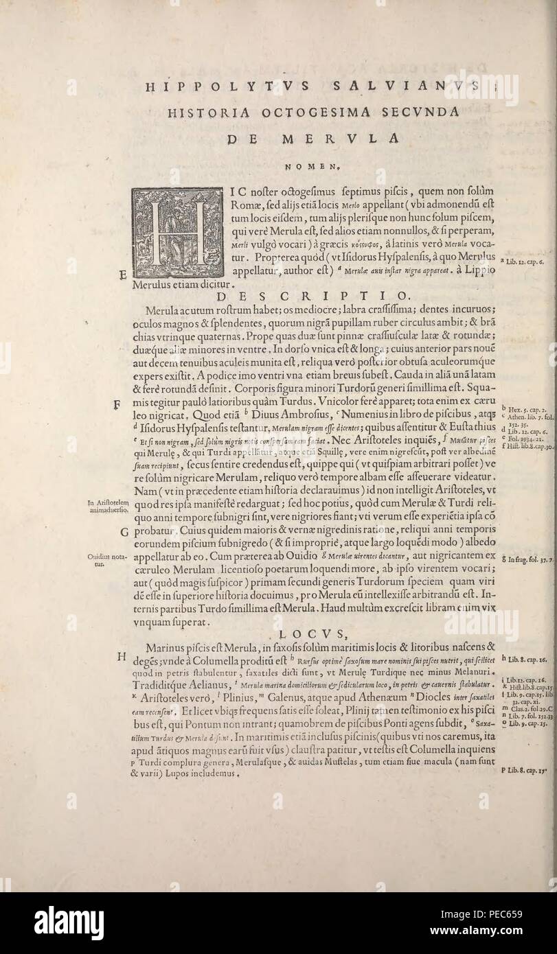 Aquatilium animalium historiae, liber primus Stock Photo - Alamy