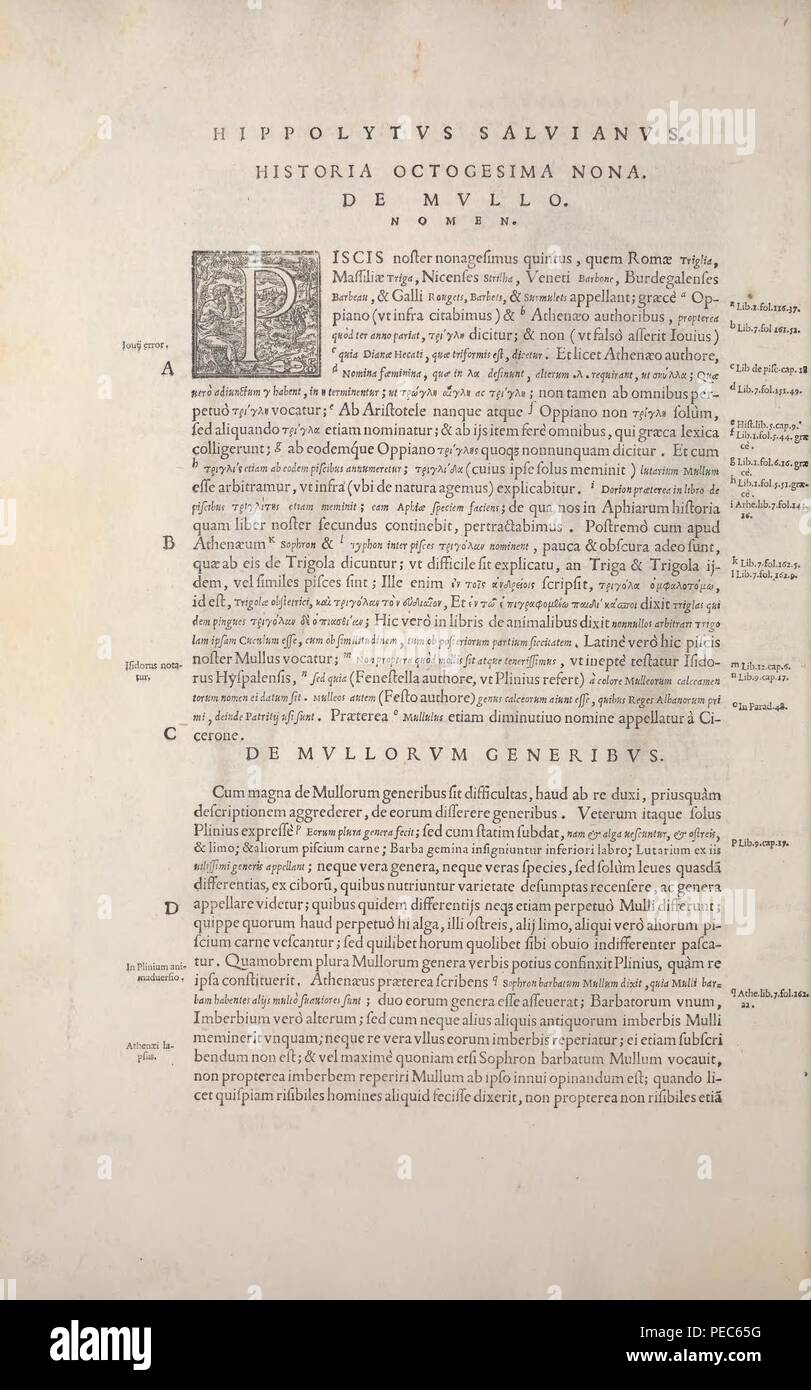 Aquatilium animalium historiae, liber primus Stock Photo - Alamy