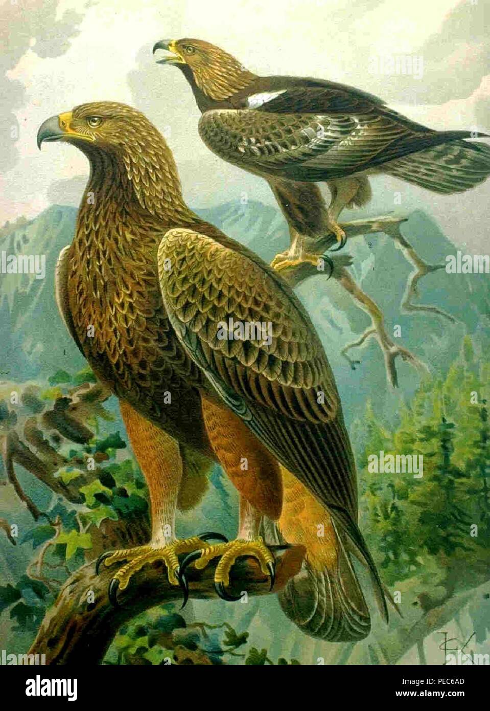 Large drawing hi-res stock photography and images - Alamy