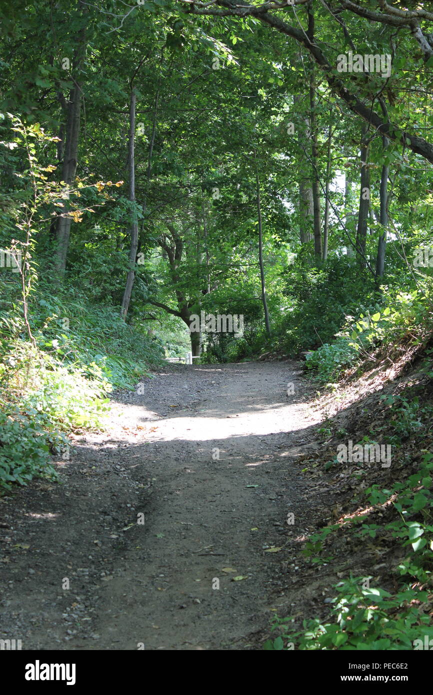 Summer path to the beach in Union Pier, Michigan Stock Photo - Alamy
