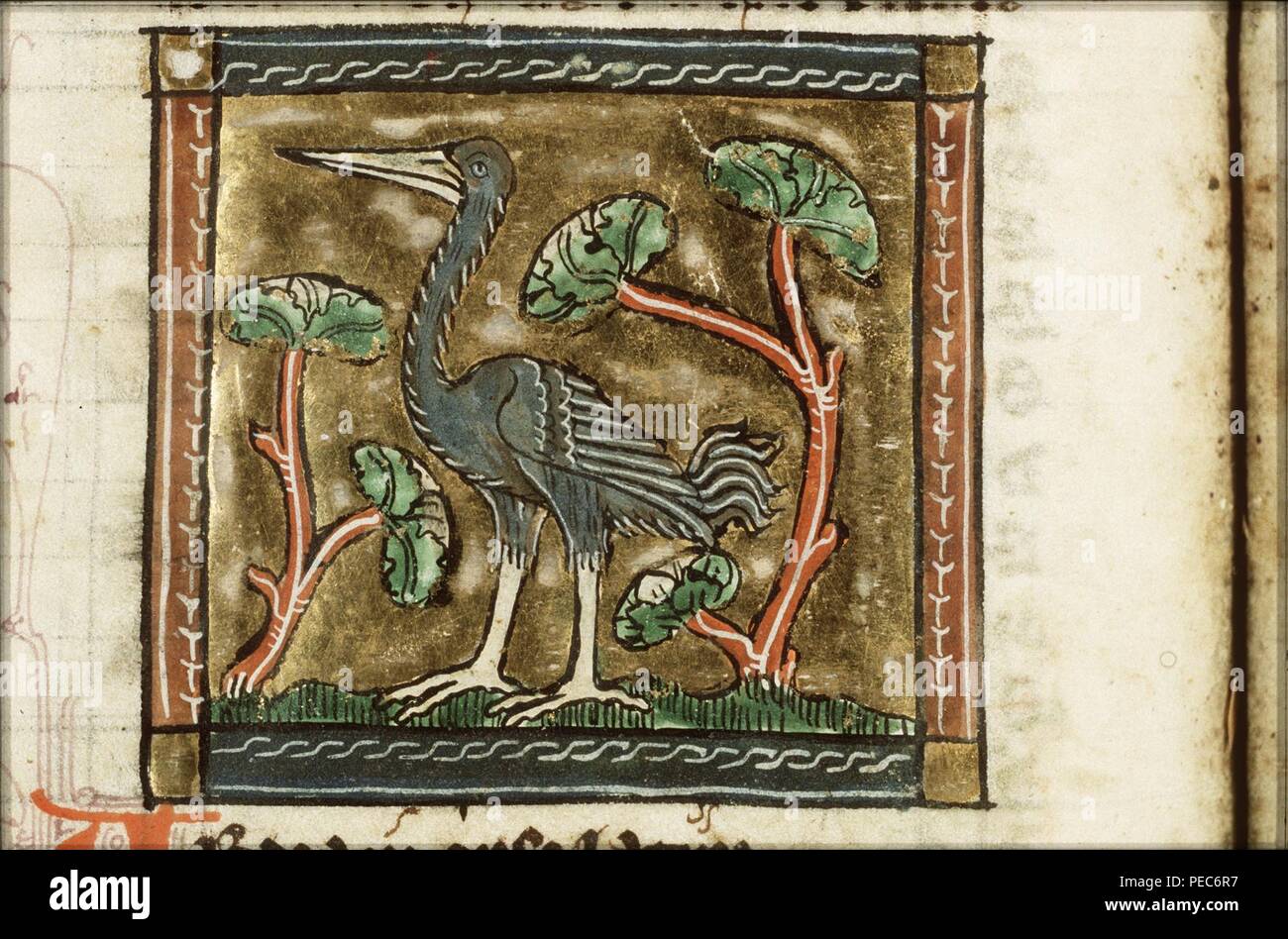 Ardea (heron) - Der naturen bloeme - Jacob van Maerlant - KB KA 16 ...