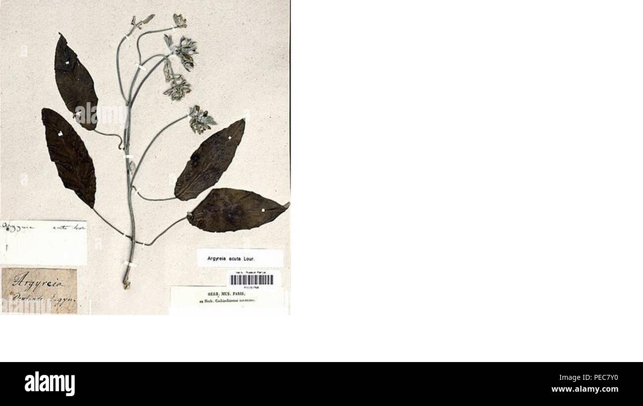 Lour image hi-res stock photography and images - Alamy