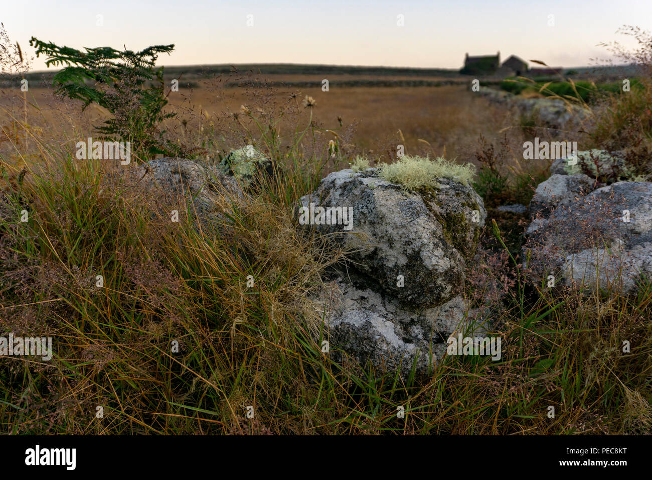 Native hedging hi-res stock photography and images - Alamy