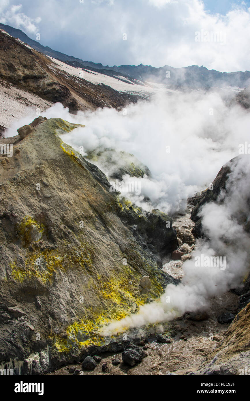 Smoking fumaroles with sulphur depositions on Mutnovsky volcano ...