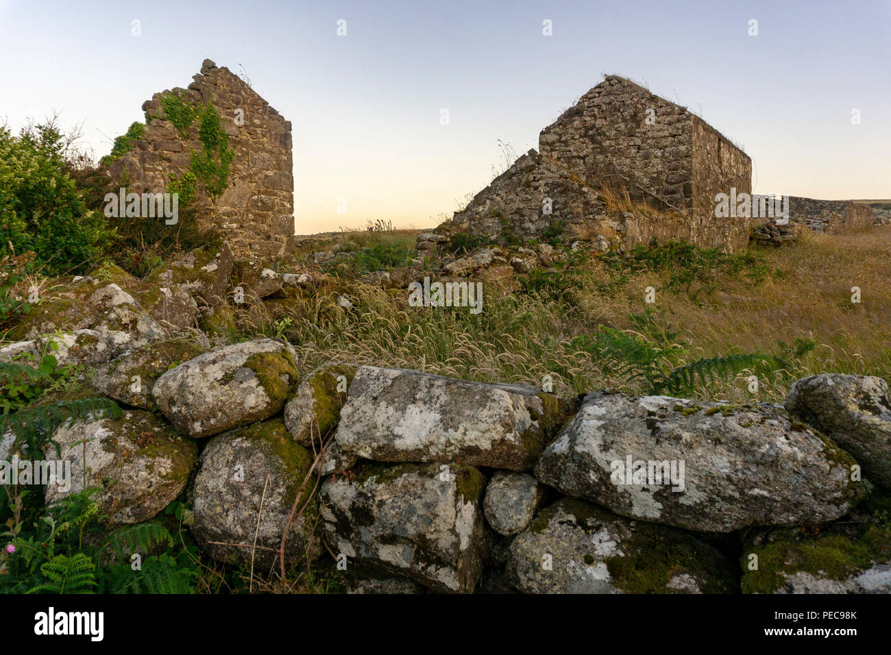 South of england style hedge hi-res stock photography and images - Alamy