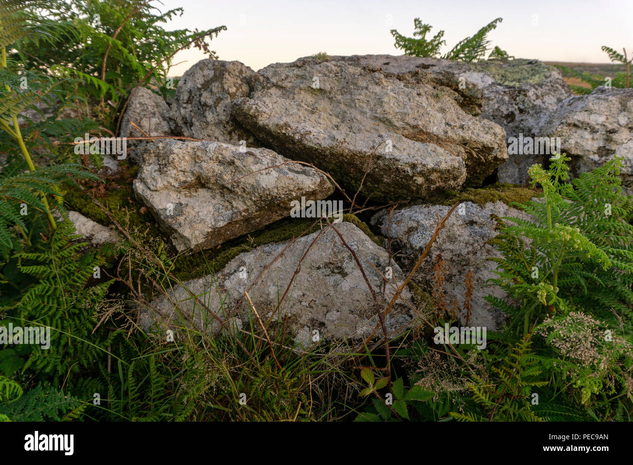 Cornish hedging hi-res stock photography and images - Alamy