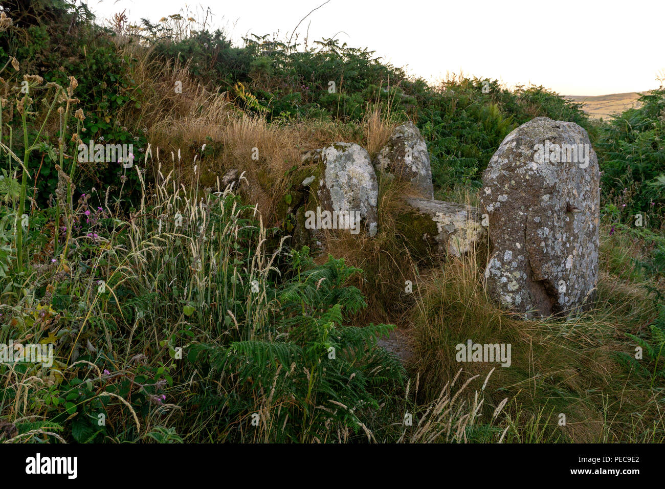 Step stile hi-res stock photography and images - Alamy