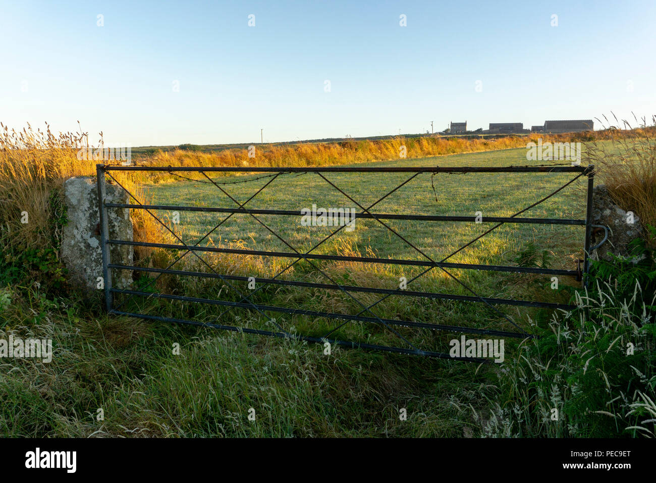 Farm gate to a field by a public footpath in Cornwall Stock Photo - Alamy
