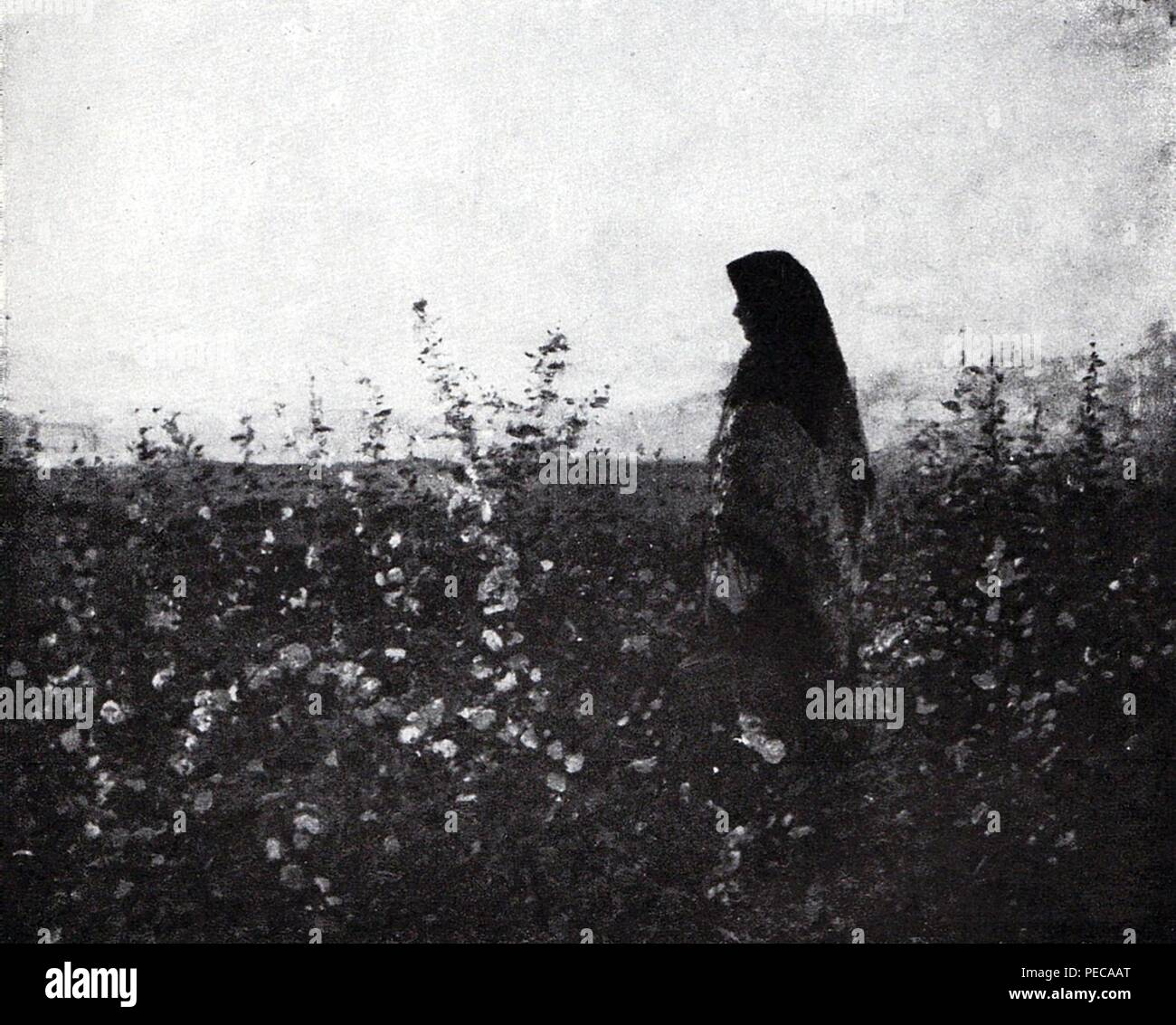 Arthur Verona - Fata cu ulcior Stock Photo - Alamy