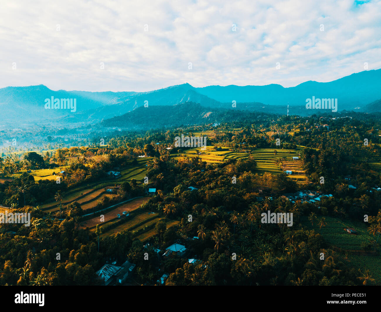Aerial drone view of the beautiful landscape at the rice terrace in ...